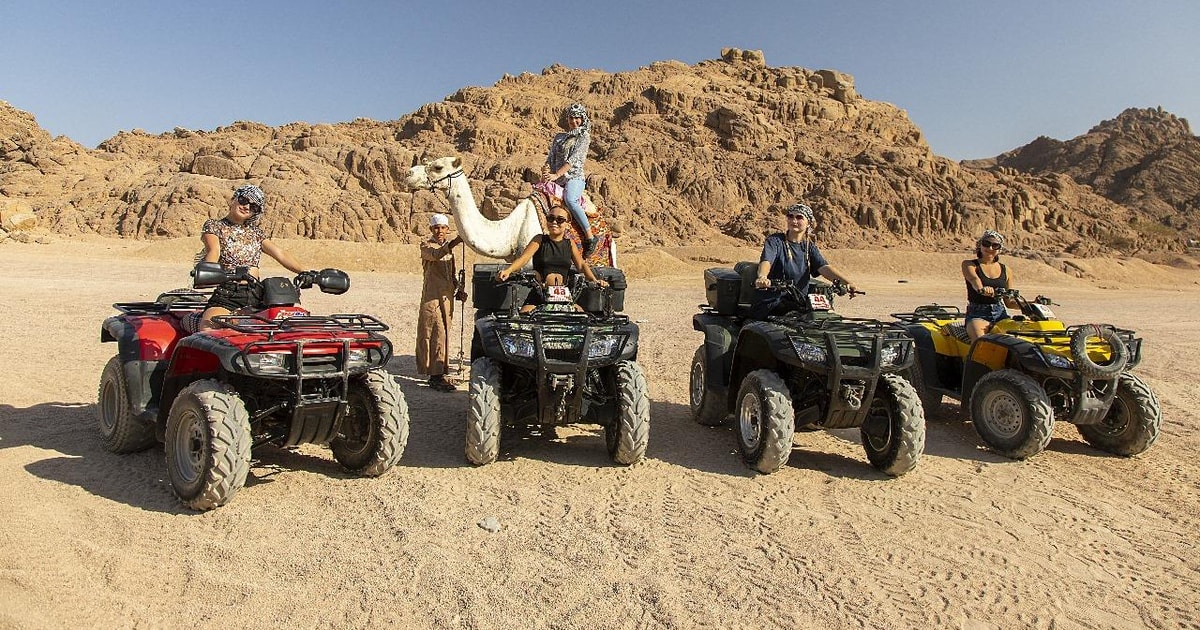 Sharm El Sheikh: Quad Biking & Desert Safari with Pickup | GetYourGuide