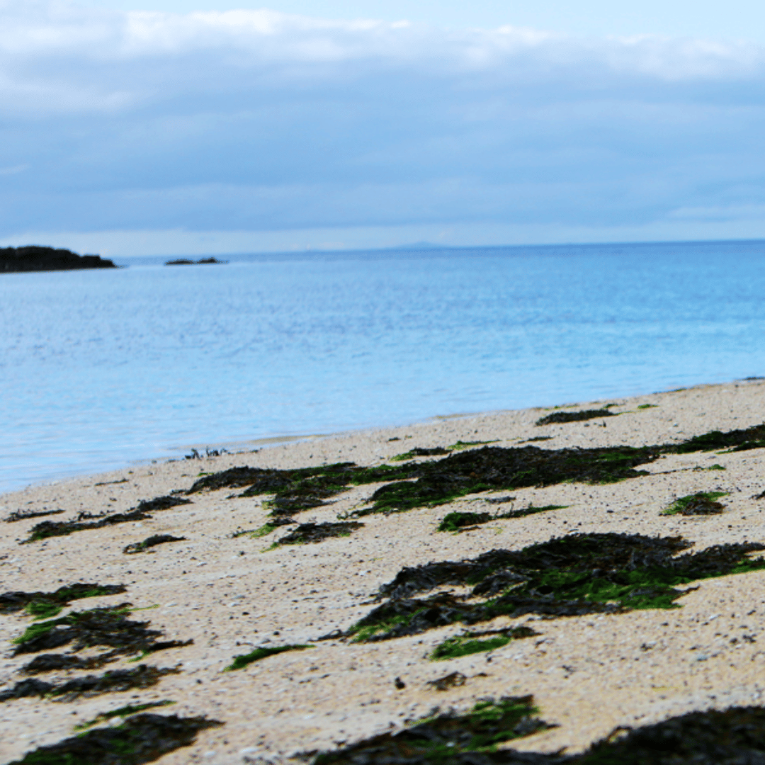 Isle of Skye: Portree to Fairy Pools Smartphone Guide | GetYourGuide