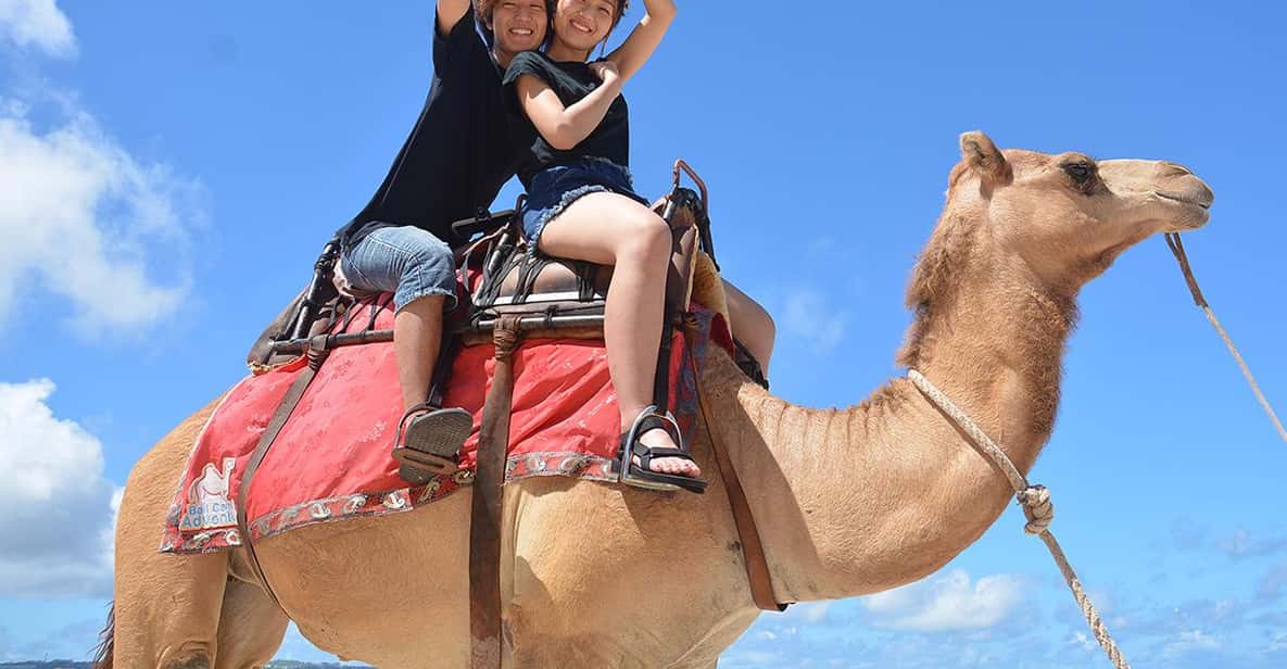 Enjoy unique Camel Ride Tour in Bali beach with transport | GetYourGuide