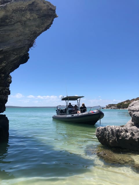 1-hours Sunset Betta boat Tour, Langebaan Lagoon | GetYourGuide