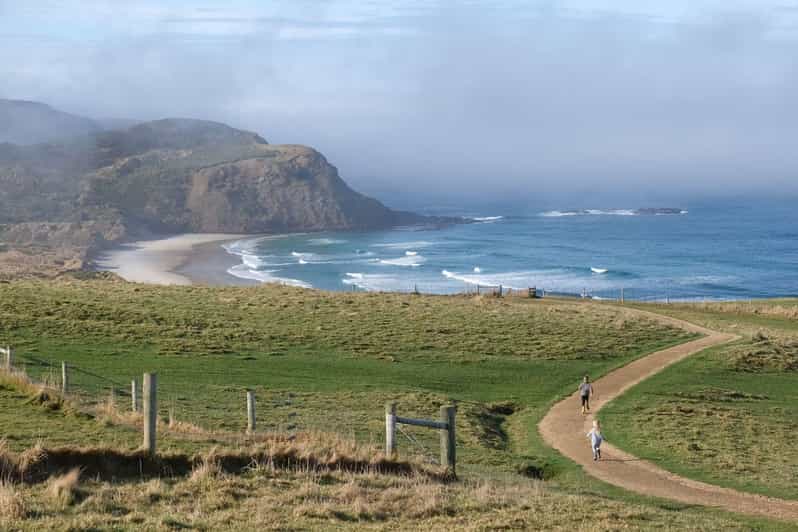 Dunedin City & Otago Peninsula Scenery Day Tour | GetYourGuide
