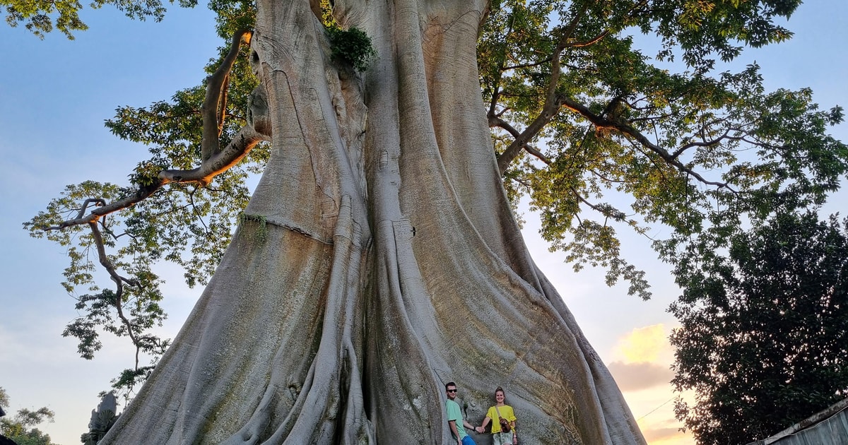 See The Bayan Ancient Tree Bali with Waterfall & Rice Field | GetYourGuide