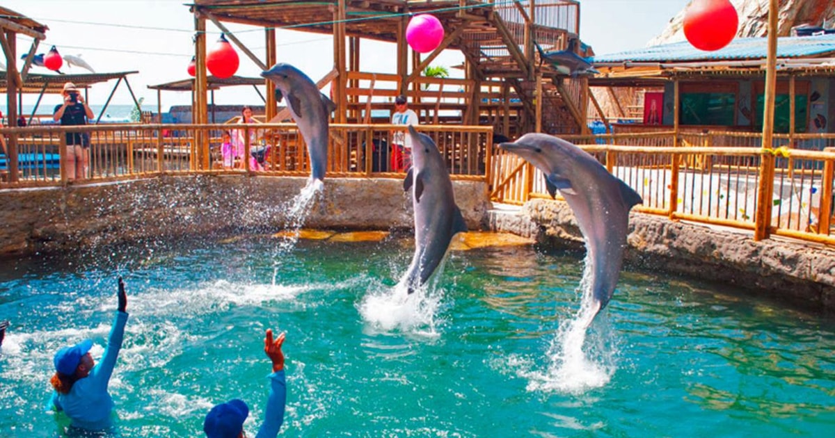 SANTA MARTA: Tour mit Eintritt zum Aquarium und Transfer nach Playa ...
