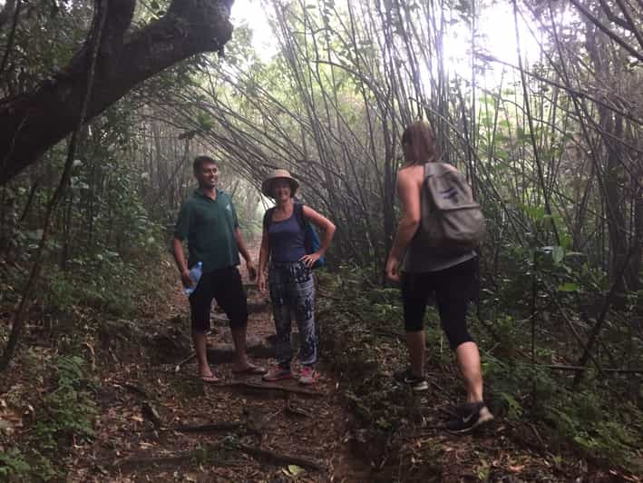 Kandy: Knuckles Mountain Range Day Hike | GetYourGuide