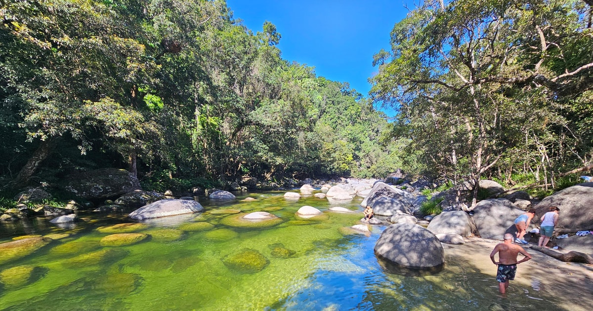 Von Cairns aus: Mossman Gorge Tour & Daintree Rainforest Cruise ...