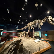 Calgary: Drumheller Day Trip with Royal Tyrrell Museum Entry | GetYourGuide