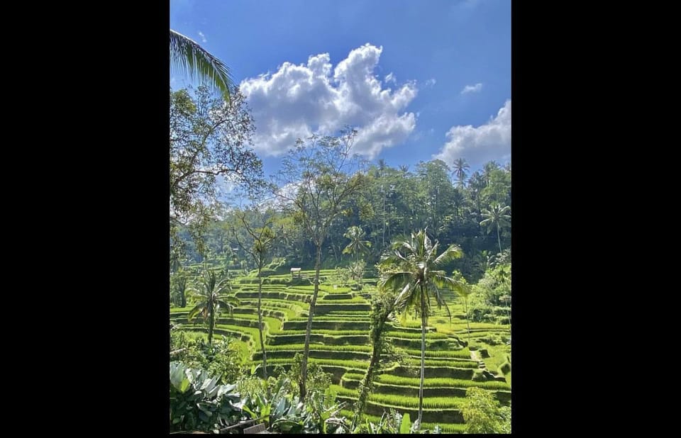 Ubud :three of the most famous waterfalls in ubud | GetYourGuide