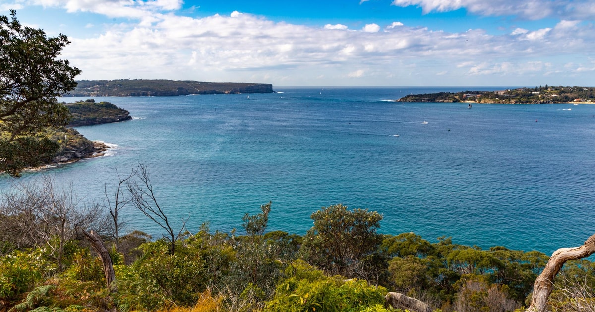Sydney: dallo zoo di Taronga alla Balmoral Walk con pranzo à la carte ...