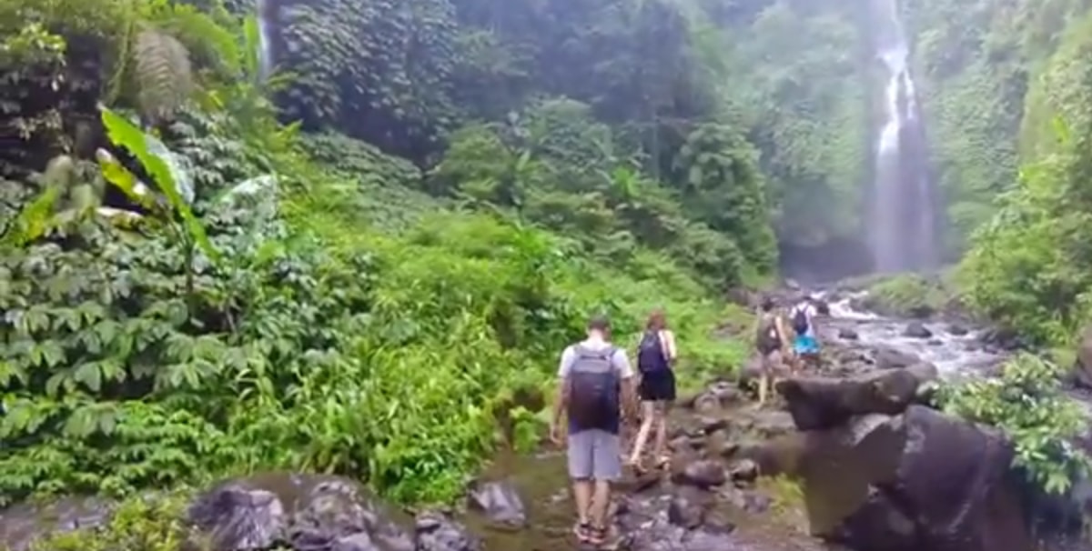 Bali: Sekumpul Waterfall and Fiji Waterfall Private Tour | GetYourGuide