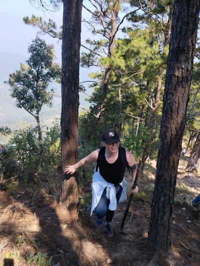 Chiangmai Summit Hike in Doi Suthep-Pui National Park | GetYourGuide