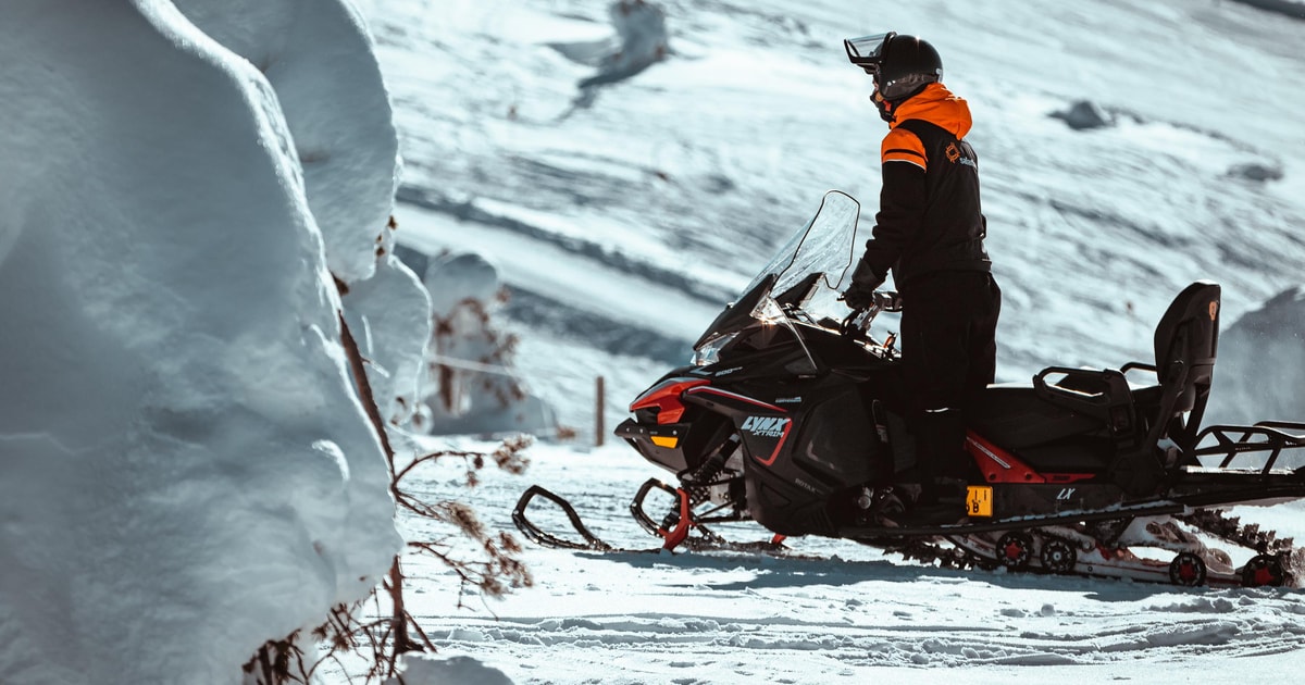 Levi: Ganztägige Schneemobilsafari in die Wildnis | GetYourGuide