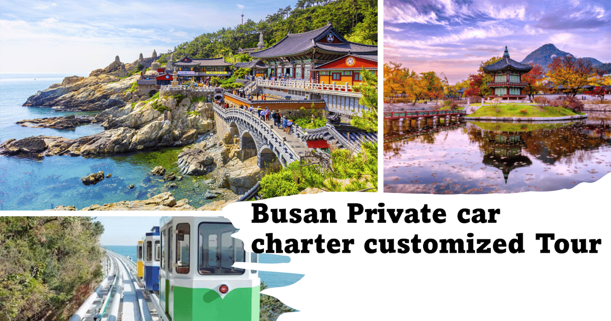 Busan City Private Chartered Car tour | GetYourGuide