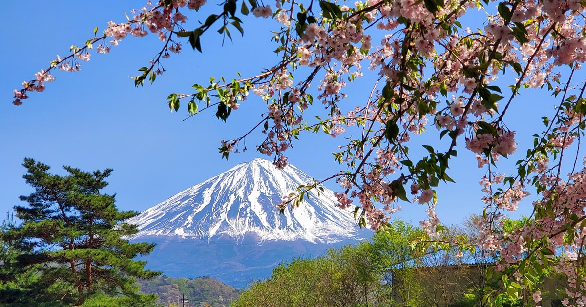 Tour privado de día completo al monte Fuji desde Tokio (personalizable) | GetYourGuide