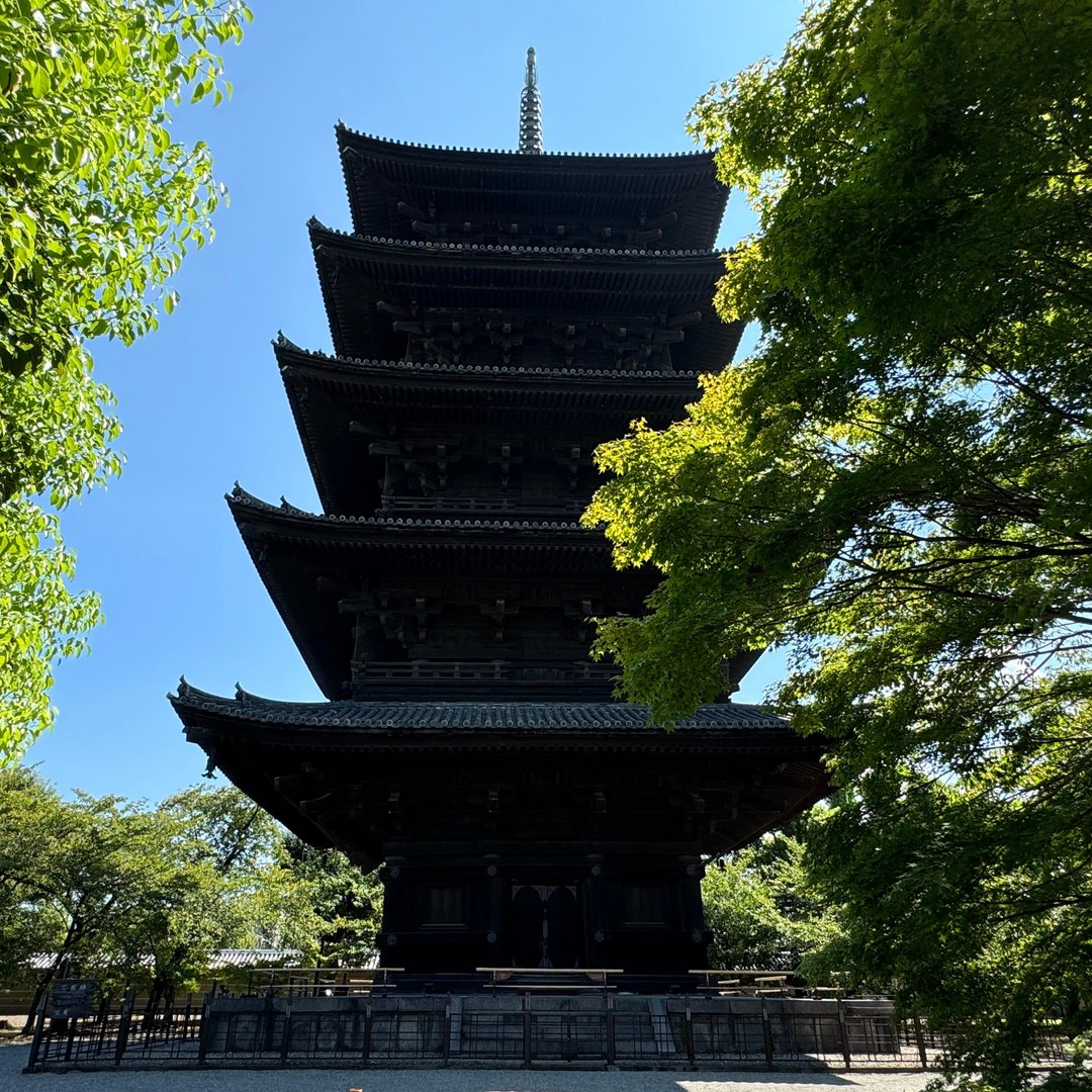 Kyoto: Tour guiado do Templo Toji com Pagode de 5 andares | GetYourGuide
