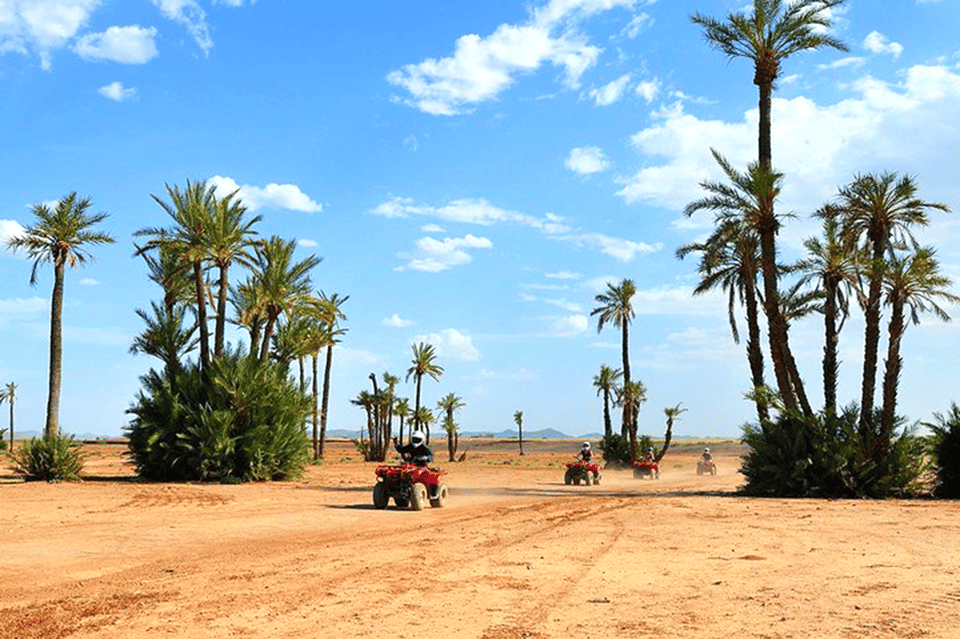 Marrakech: Quad Bike Tour in Palmeraie Desert and Palm Grove | GetYourGuide