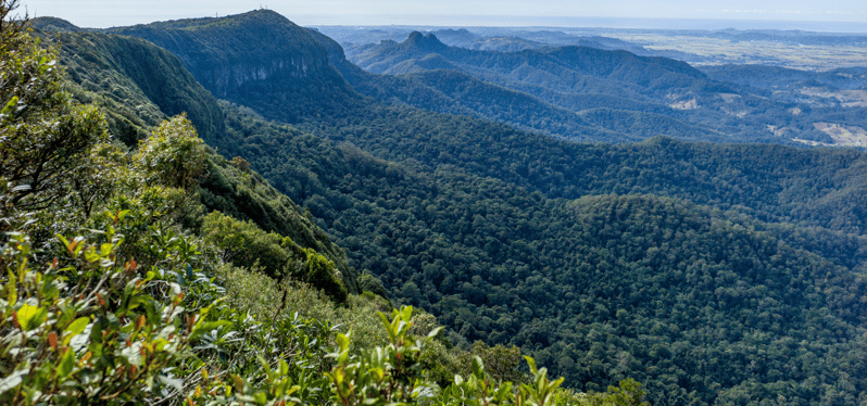 Springbrook National Park, Gold Coast - Book Tickets & Tours | GetYourGuide