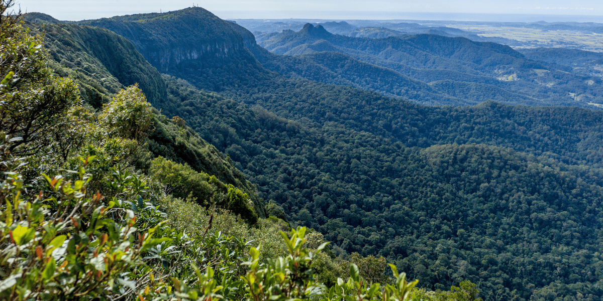 Spring Brook National Park Self Guided Driving Tour | GetYourGuide