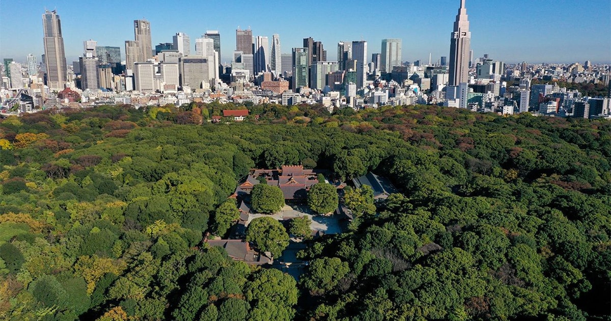 Tokio: Wycieczka piesza po świątyni Meiji — shintoizm i system cesarski ...