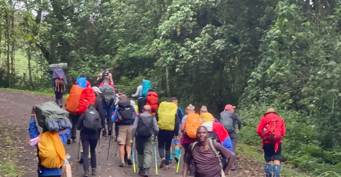 5 Tage Wunder der Marangu Route | GetYourGuide