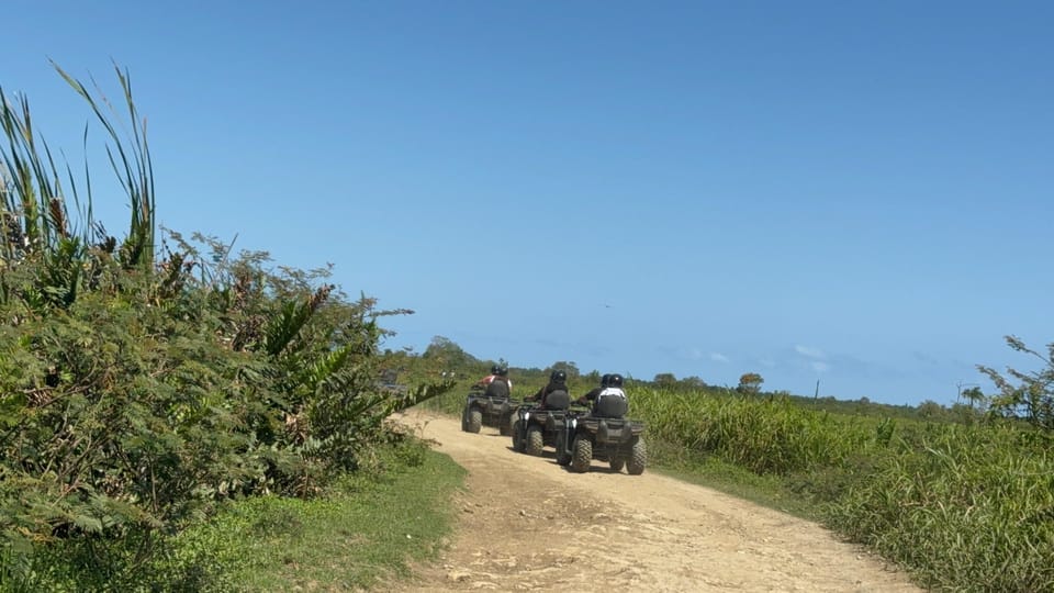 Puerto Rico: Hacienda Campo Rico ATV Experience with Pickup | GetYourGuide
