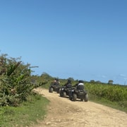 Puerto Rico: Hacienda Campo Rico ATV Experience with Pickup | GetYourGuide