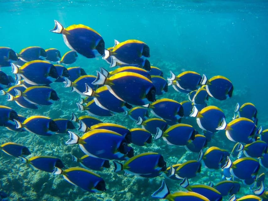 Laguna Azul, La Roca, Clase de Cocina, Excursión a las Especias ...