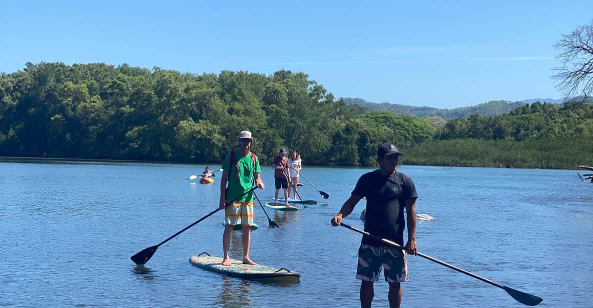 Nosara: Rio Montana Mangrove SUP or Kayak Tour | GetYourGuide
