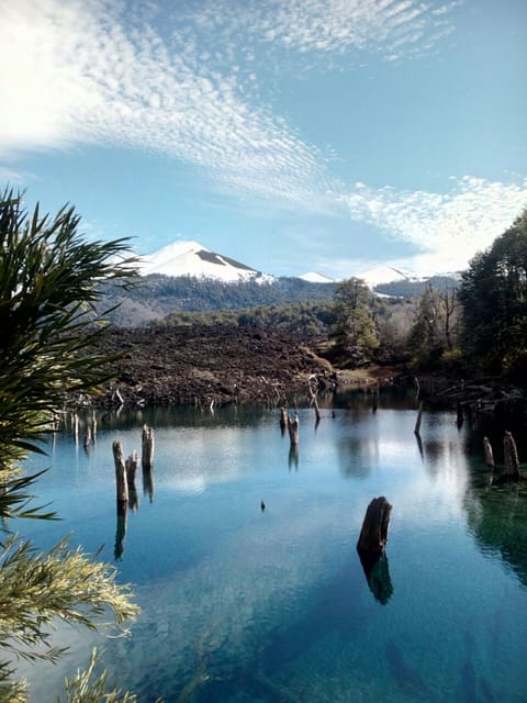 Conguillío National Park Tour - Full day | GetYourGuide