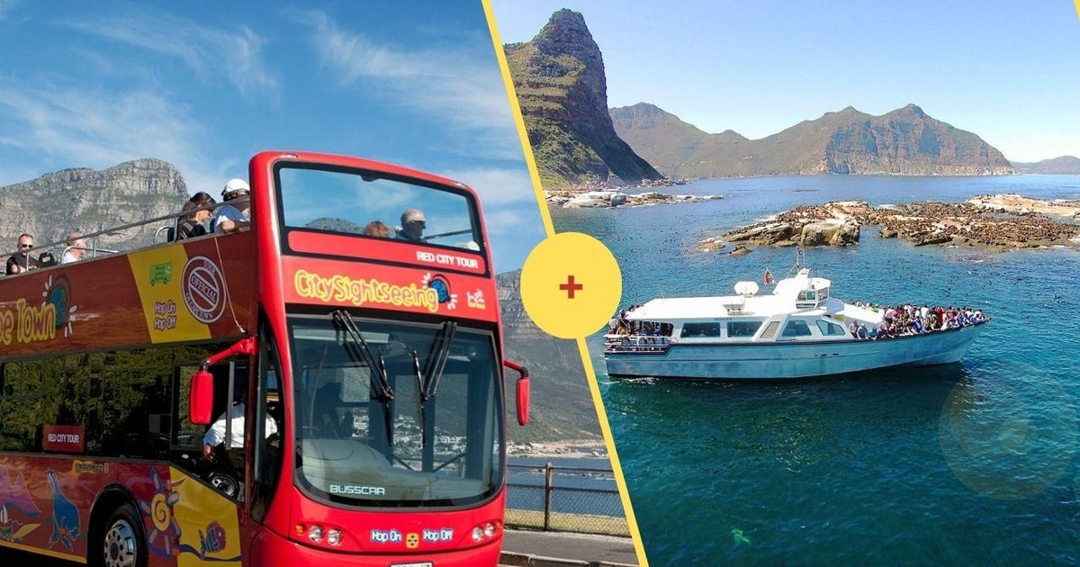 Cape Town: Hop-On Hop-Off Bus & Seal Island Adventure Cruise | GetYourGuide