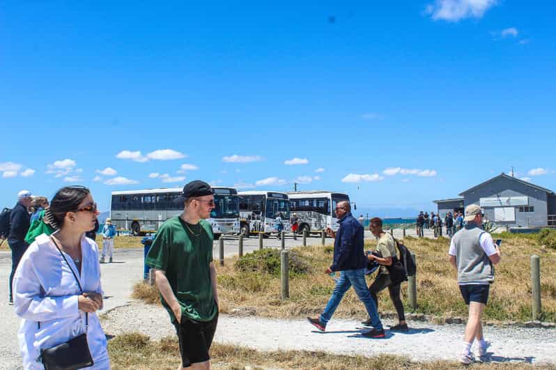 Cape Town: Robben Island Museum and Ferry Ticket | GetYourGuide
