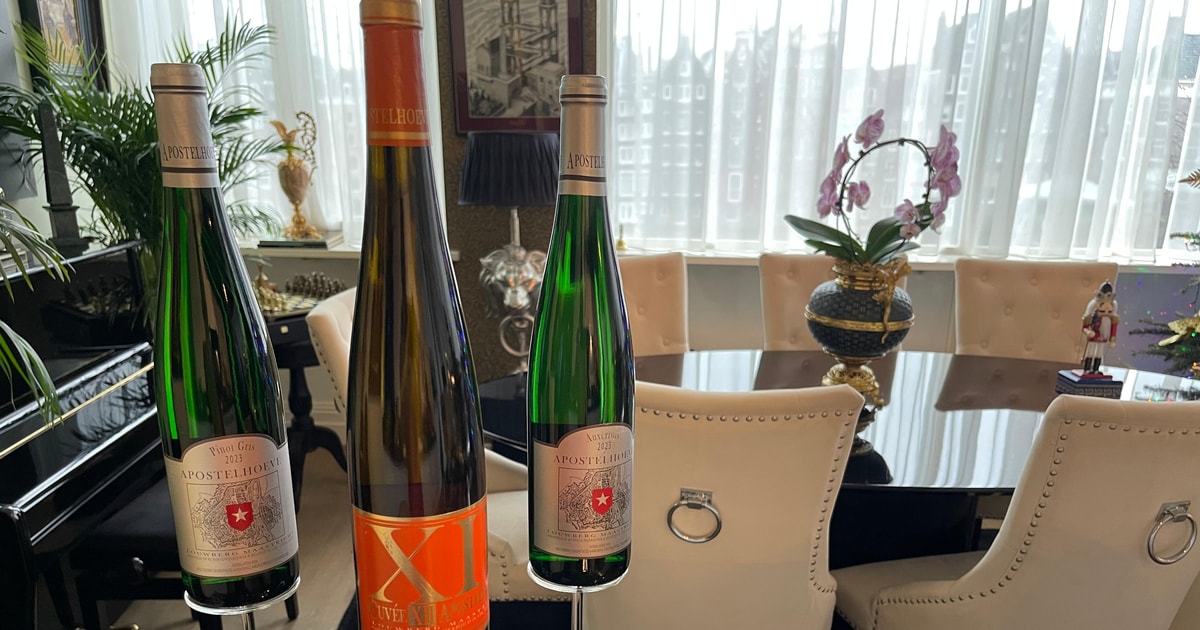 Amsterdam: Dutch Wine Tasting Experience | GetYourGuide