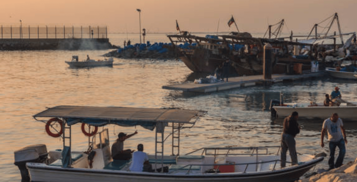 Kuwait Fishing trip | GetYourGuide