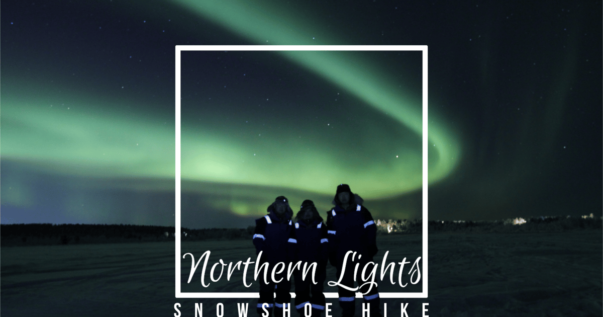 Northern Lights Snowshoe Hike | GetYourGuide