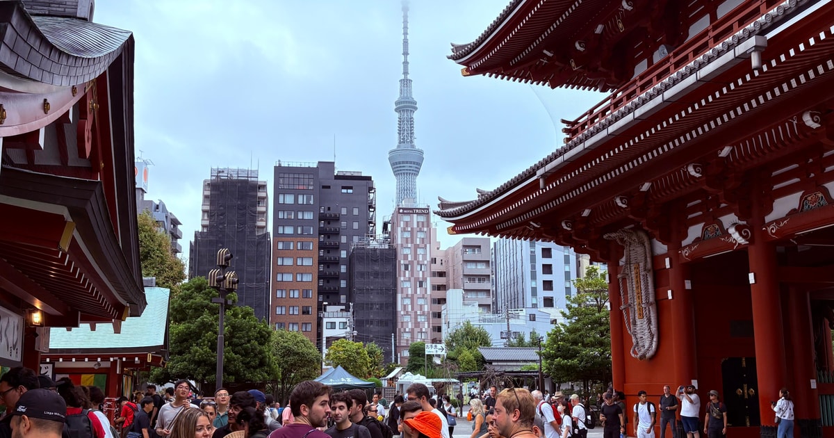 Tokio: tour en coche por el santuario Meiji y los baños artísticos (3 h ...