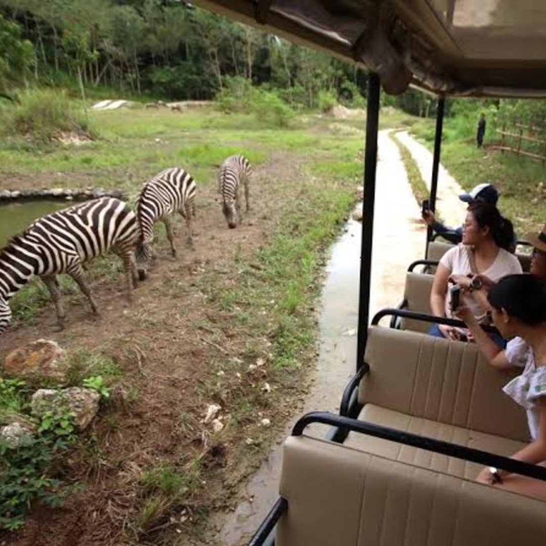 Cebu:Cebu Safari Adventure Park Day Trip | GetYourGuide