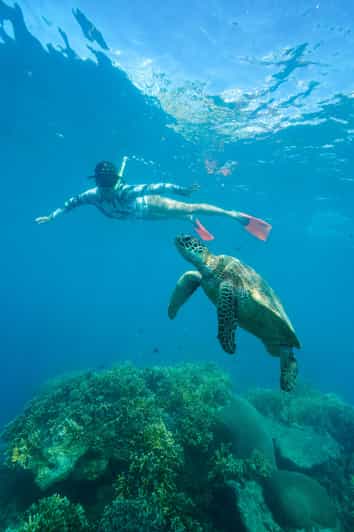 Hook Island, Whitsunday Islands - Book Tickets & Tours | GetYourGuide