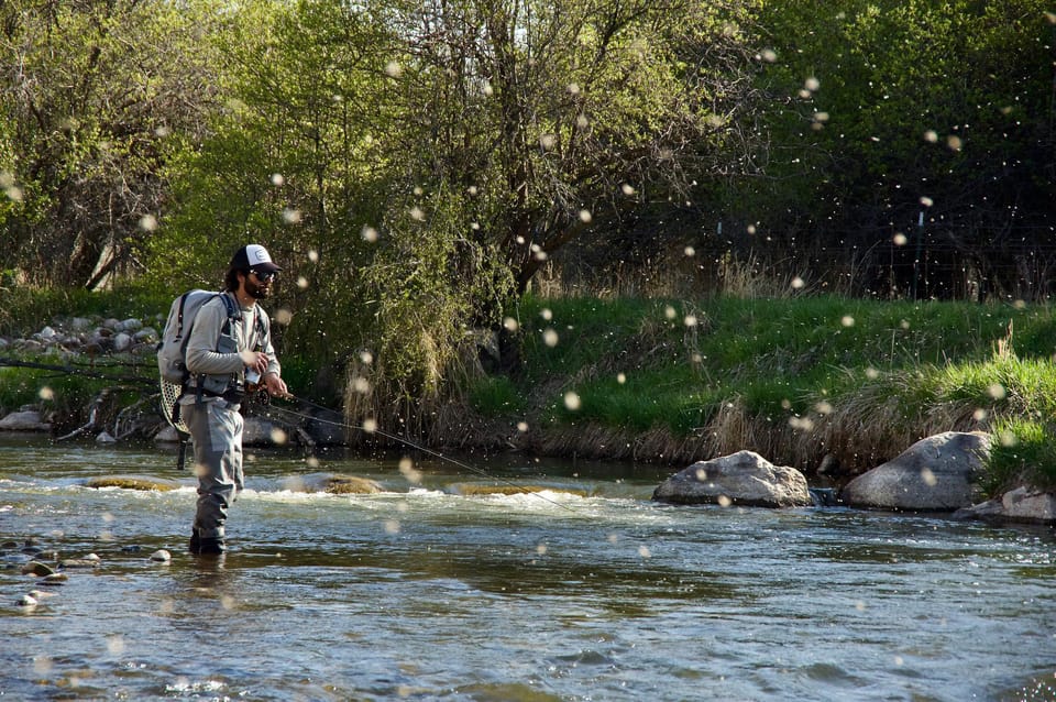 Fly Fish Utah Blue Ribbon Trout Waters | GetYourGuide