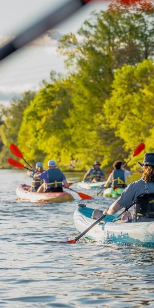 Austin: Sunset Bat Watching Kayak Tour | GetYourGuide