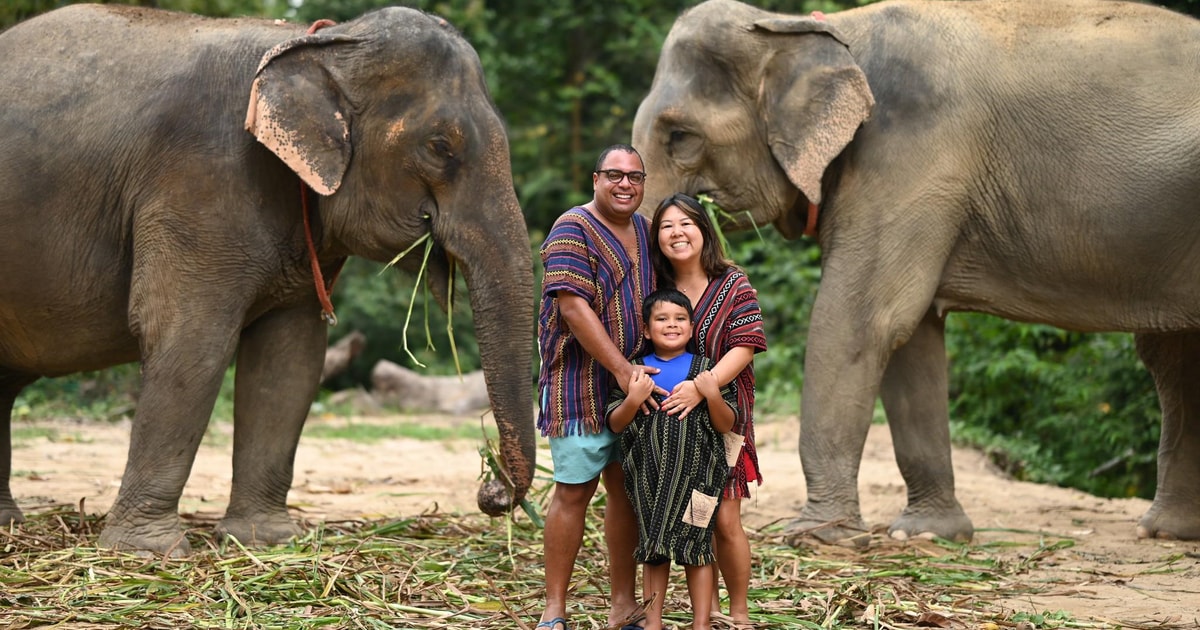 Koh Samui: Indgang til elefantreservat og fodringsoplevelse | GetYourGuide