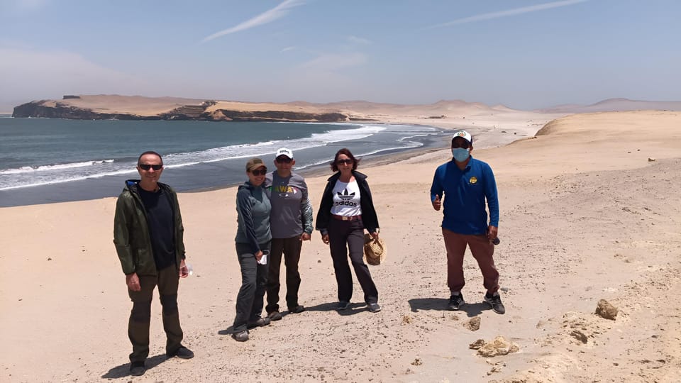 Tagestour: Ballestas Inseln & Paracas Naturreservat | GetYourGuide