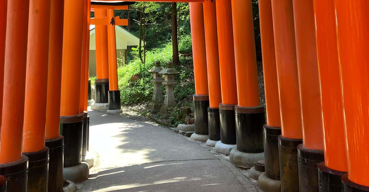 Kyoto: Fushimi Inari, Kinkakuji & Bamboo Grove Private Tour | GetYourGuide