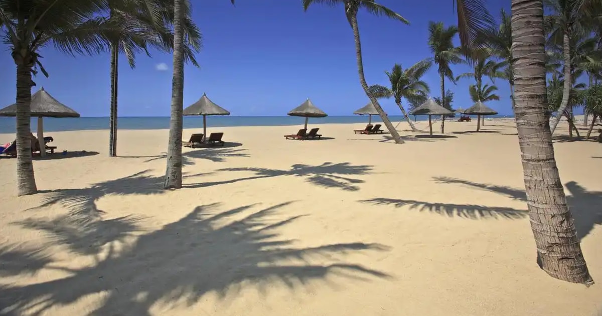 Sanya : parc forestier de Yalong Bay et navette pour la plage ...