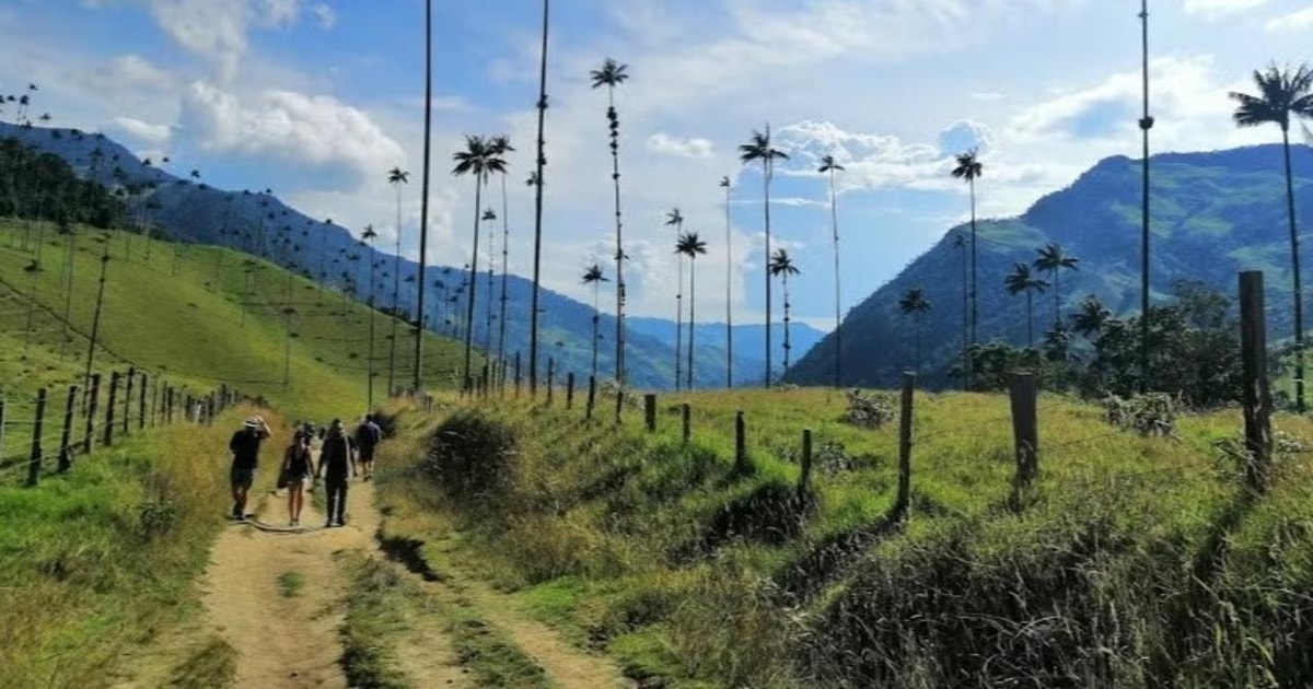 Salento: Salento & Cocora Valley Tour | GetYourGuide