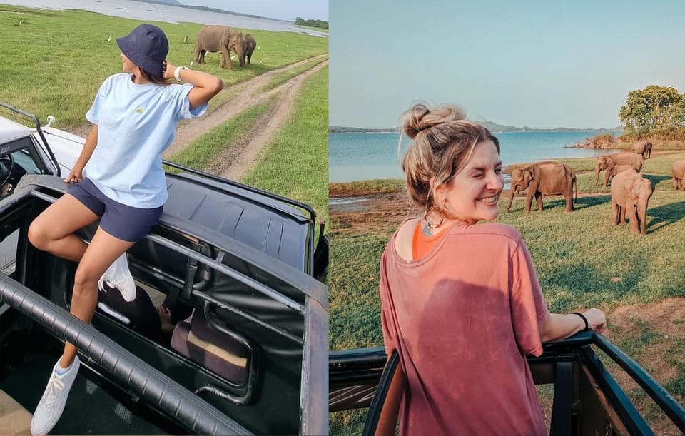 Kandy to Sigiriya Dambulla & Minneriya Park Safari day tour | GetYourGuide