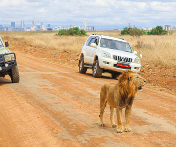The BEST Nairobi Tours and Things to Do in 2023 - FREE Cancellation ...