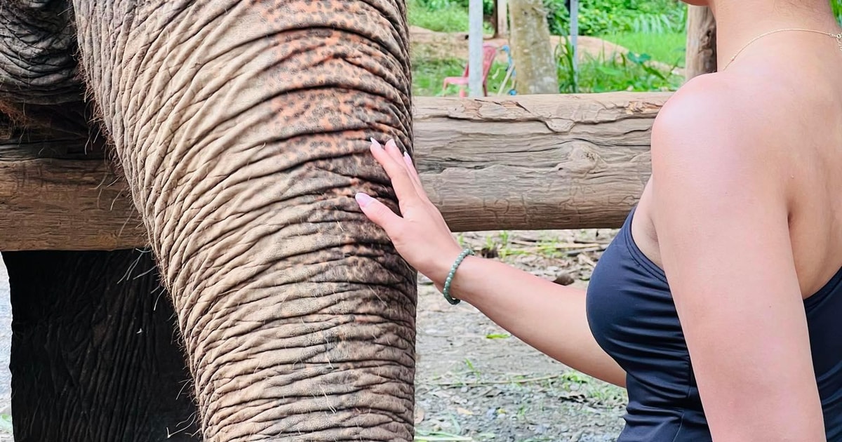 Chiangmai : Take care of Elephants & Rafting & Wat Ton Kwen. | GetYourGuide