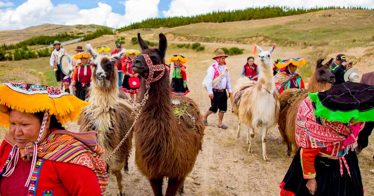 Vanuit Cusco: Lama trektocht | GetYourGuide
