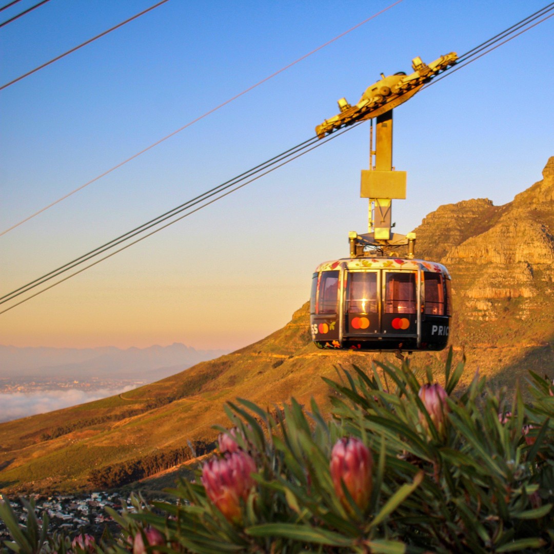 Skip The Line Ticket Table Mountain Cable Car from Cape Town | GetYourGuide