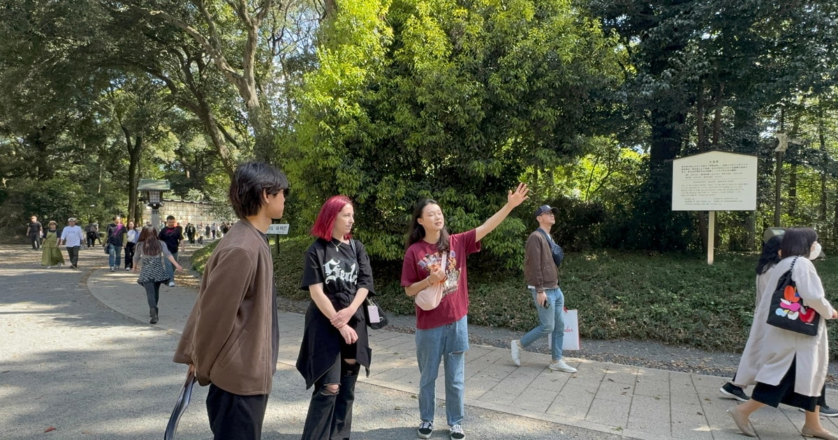 Tokyo : Young & Fun: Meiji Shrine & Shibuya Highlights | GetYourGuide