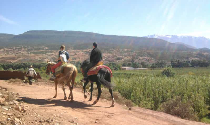 Călăritul în Munții Atlas cu cazare | GetYourGuide